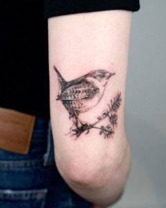 Explore The 50 Best Wren Tattoo Ideas In 2025