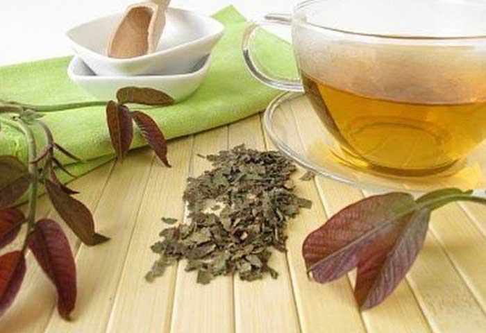Use Walnut Leaves Tea For Hair! - BeautyEpic