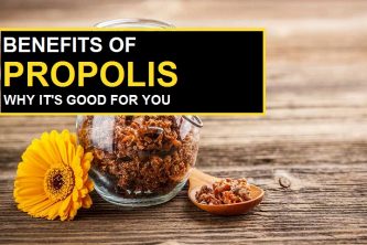 Propolis Health Benefits - Why It's Good For You In 2025
