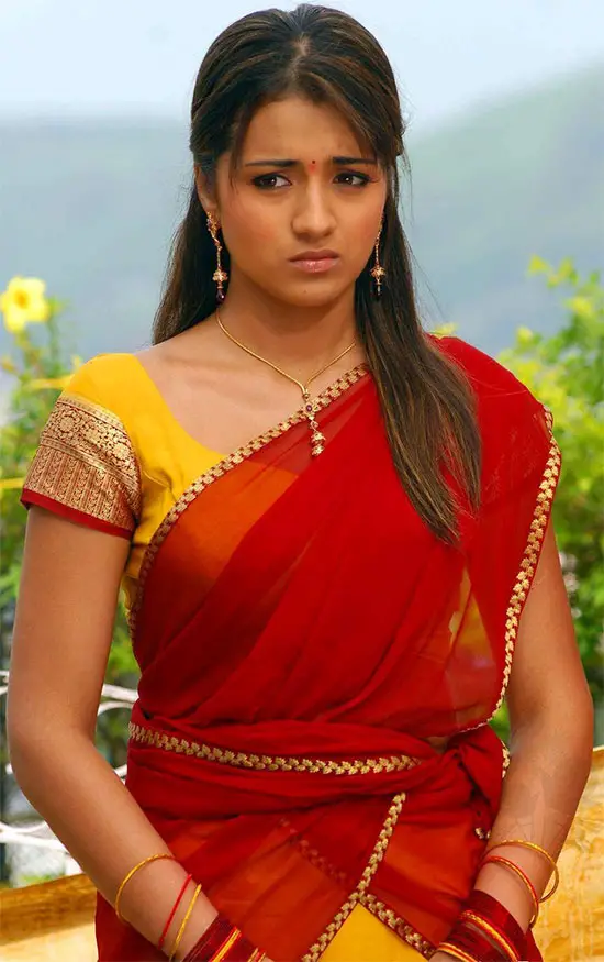 16 Amazing Pics of Trisha In Saree