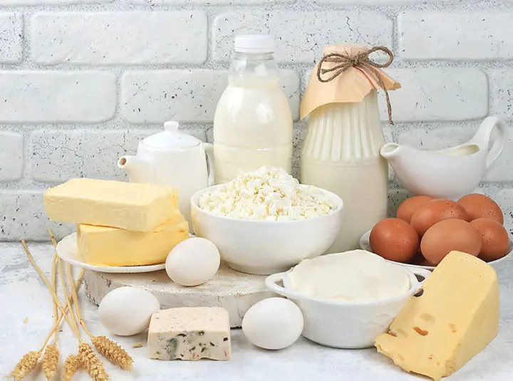 Top 10 Foods Highest In Taurine