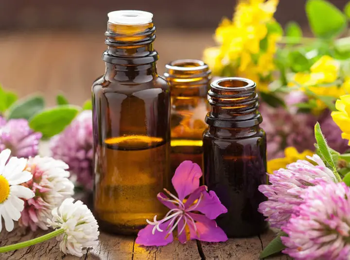 10 Calming Essential Oils For Relaxation In 2025