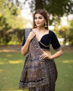 20 Velvet Blouse Design For Silk Saree