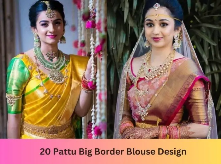 20 Pattu Big Border Blouse Design