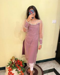 Top 20 Transparent Net Kurtis Neck Design In 2025