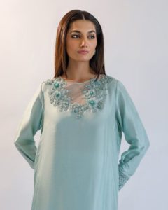 Top 20 Transparent Net Kurtis Neck Design In 2025