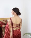 25+ Latest U-Shaped Backless Blouse Designs In 2026