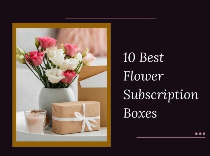 10 Best Flower Subscription Boxes In 2025